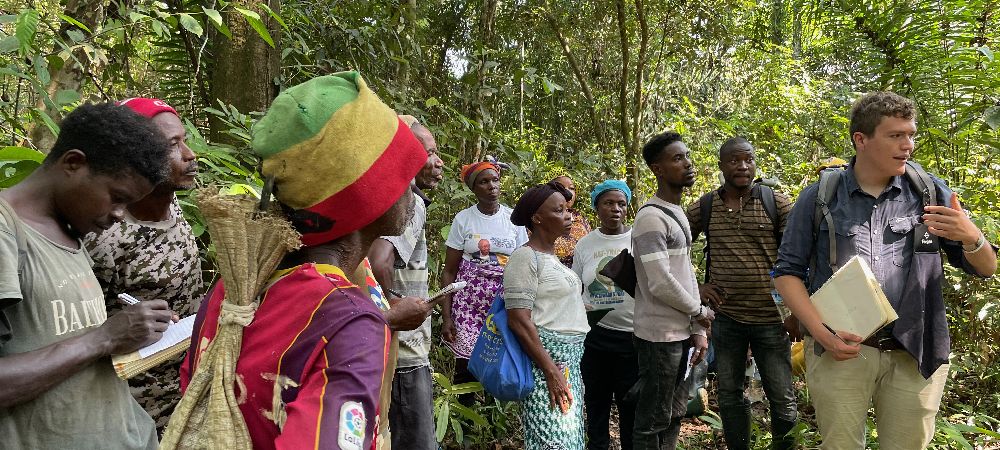 NGO Diamonds for Peace